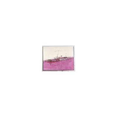 China DMF5005N-COE-DDN 5.2 inch LCD Screen Display for OPTREX for sale
