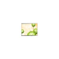 China 240*64 DMF5005NF-LY 5.2 inch  22 pins LCD Screen Display for sale