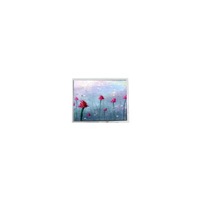 China 5.2 inch DMF5005N-SEW-ABE-CP 240*64 70Hz LCD Screen Display for sale