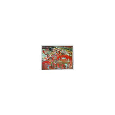 China Hot Sell 320*200 6.3 inch DMF5006NB-FW LCD Screen Display for OPTREX for sale