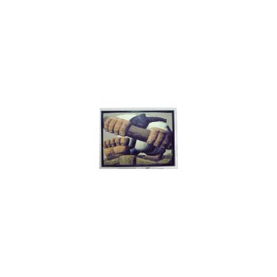 China DMF5010NBU-FW 5.2 inch 70Hz LCD Screen Display Panel for sale