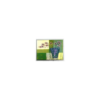 China 240*64 5.2 inch DMF5010NBU-FW-BD 20 pins LCD Panel Screen for sale