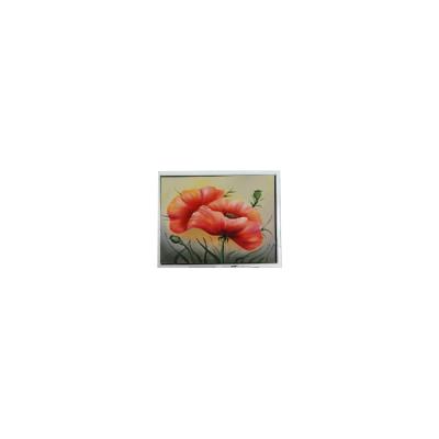 China DMF5010NF-FW 240*64 5.2 inch LCD Panel Industrial Screen for sale