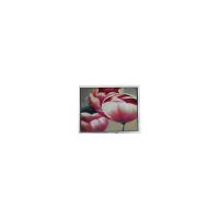 China Original 240*64 DMF5010NF-FW-BE 5.2 inch 70Hz LCD Panel for sale
