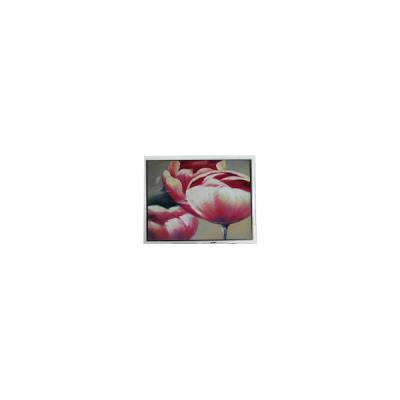 China Original 240*64 DMF5010NF-FW-BE 5.2 inch 70Hz LCD Panel for sale