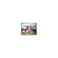 China Original 9.6 inch 640*200 DMF-50036ZNFU-FW LCD Panel for Industrial for sale