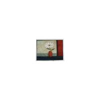 China Hot Sell 5.7 inch 320*240 DMF-50174NFL-SFW-11 LCD Monitor Panel for sale