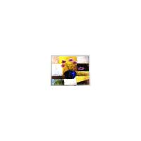 China Hot Sell 9.4 inch DMF50260NF-FW-18 640*480 15 pins LCD screen for sale