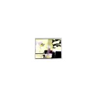 China DMF50260NFU-FW-8 9.4 inch  640*480 LCD screen for OPTREX for sale