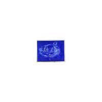 China Original 640*480 DMF50260NFU-FW-21 9.4 inch 70Hz LCD screen Panel for sale