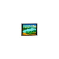 China DMF-50316NF-FW-1 240*64 5.2 inch 130 cd/m2 LCD screen for sale