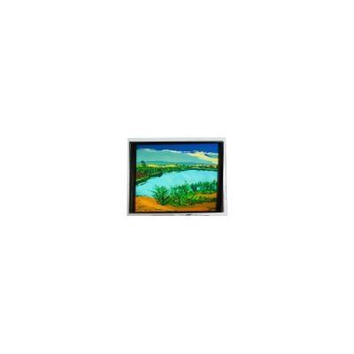 China DMF-50316NF-FW-1 240*64 5.2 inch 130 cd/m2 LCD screen for sale