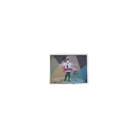 China F-51405GNB-LW-AJ 5.2 inch 240*64 400 cd/m2 LCD display Screen for sale