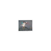 China Original 5.2 inch 240*64 F-51405GNB-LW-ANN WLED LCD display for sale