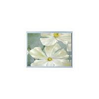China F-51851GNFQJ-LW-AAN 240*64 5.2 inch 72 pins LCD display Panel for sale