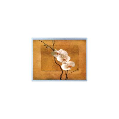 China 240*64 5.2 inch F-51851GNFQJ-LY-ADN 85Hz LCD display Panel Module for sale