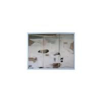 China Hot Sell 320*240 F-51900NCU-LW-AIN 5.7 inch 18 pins LCD Screen Panel for sale