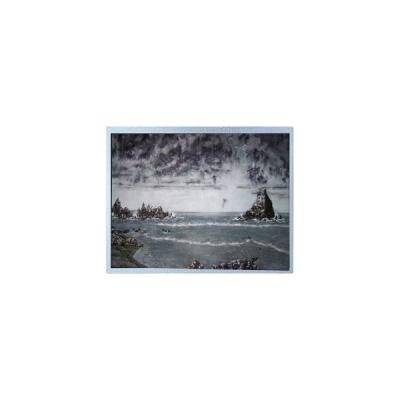 China F-55471GNFJ-SLW-AIN 5.2 inch 240*64 WLED LCD Screen Display Module for sale