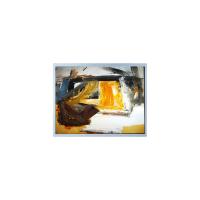 China T-51380L050J-FW-P-AA 5.0 inch 320*234 LCD Screen for Automotive Display for sale
