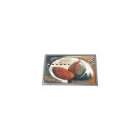 China Original 7.0 inch T-51440GL070H-FW-AJN 480*234 LCD Screen for sale