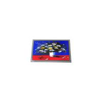 China 1024*768 T-51511D150-FW-A-AD 15.0 inch 60Hz LCD Screen Display for sale