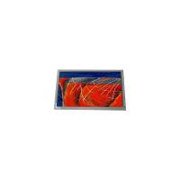 China NEW 12.1 inch 800*600 T-51512D121J-FW-A-AHN 262K LCD Screen for sale