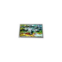 China 8.4 inch 640*480 T-51638D084-FW-A-AA LCD Screen for OPTREX for sale