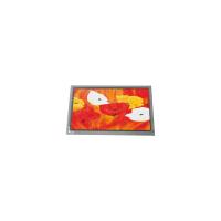 China 640*480 6.5 inch T-51750GD065J-FW-AB 400 cd/m2 LCD Screen Panel for sale