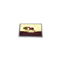 China T-51756D121J-FW-A-AB 12.1 inch 1024*768 LVDS  LCD Screen for sale