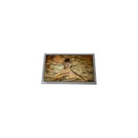 China Hot Sell 1024*768 15.0 inch T-51863D150J-FW-A-AB LCD Monitor Display for sale
