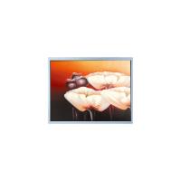 China T-51863D150J-FW-A-AFN 15.0 inch 262K LCD Monitor FOR OPTREX for sale