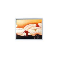 China 12.1 inch T-51866D121J-FW-A-AA 800*600 20 pins LCD Display Screen for sale