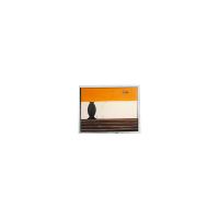 China Original 1.46 inch 176*132 T-51991GD015-MLW-ALN LCD Screen for sale