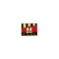 China T-55151FD084J-MFW-A-AAN 640*480 8.4 inch LCD Screen Panel for sale