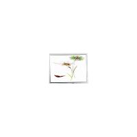 China T-55265GD057J-LW-AKN 5.7 inch LCD Screen Panel Industrial for sale