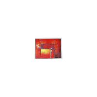 China 5.0 inch 800*480 T-55290GD050J-LW-A-AAN 45 pins LCD Screen for sale