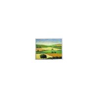 China NEW 14.1 inch T-55313D141J-FW-A-AEN 1280*800 LCD Screen Display for sale