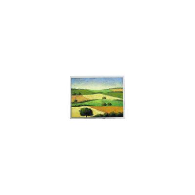 China NEW 14.1 inch T-55313D141J-FW-A-AEN 1280*800 LCD Screen Display for sale