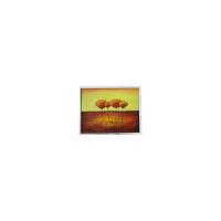 China T-55333GD104J-FW-A-AAN 640*480 10.4inch 60Hz LCD Screen Panel for sale