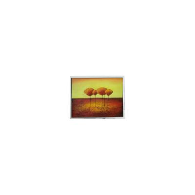 China T-55333GD104J-FW-A-AAN 640*480 10.4inch 60Hz LCD Screen Panel for sale