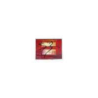 China T-55533D104J-LW-A-ABN 10.4 inch LCD Screen for Outdoor High Brightness for sale