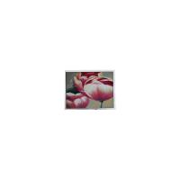 China NEW T-55548GD057JU-LW-AAN 5.7 inch 262K LCD Screen Parts for sale