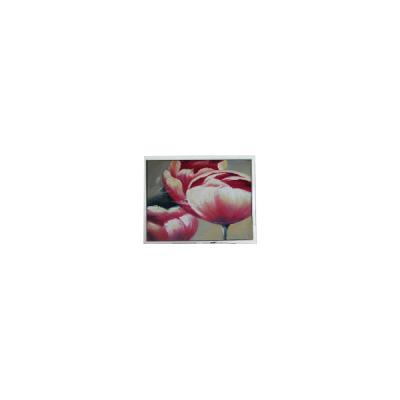 China NEW T-55548GD057JU-LW-AAN 5.7 inch 262K LCD Screen Parts for sale
