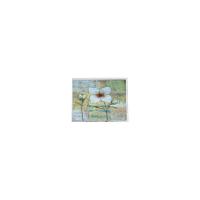 China 9.0 inch 960*540 T-55618D090J-LW-A-AAN LCD Screen WLED FOR OPTREX for sale