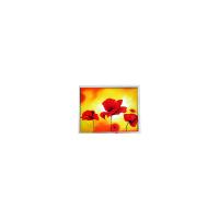 China T-55629D065J-LW-A-AAN 6.5 inch 640*480 LVDS LCD Screen Panel for sale