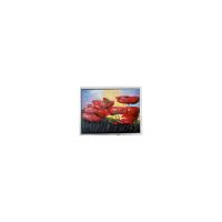 China Hot Sell 6.5 inch 640*480 T-55629D065J-LW-A-ABN LCD Screen Panel Display for sale