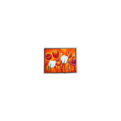 China T-55644D090J-LW-A-AAN 9.0 inch 1280*768 LCD Screen FOR Industrial for sale