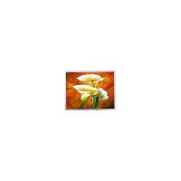 China T-55694D106J-LW-A-AAN 10.6 inch 1280*768 1000 cd/m2 LCD Screen Display for sale