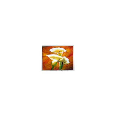 China T-55694D106J-LW-A-AAN 10.6 inch 1280*768 1000 cd/m2 LCD Screen Display for sale