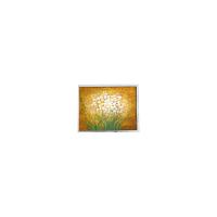 China 19.0 inch T-55699D190J-LW-A-AAN LCD Panel FOR Outdoor High Brightness for sale